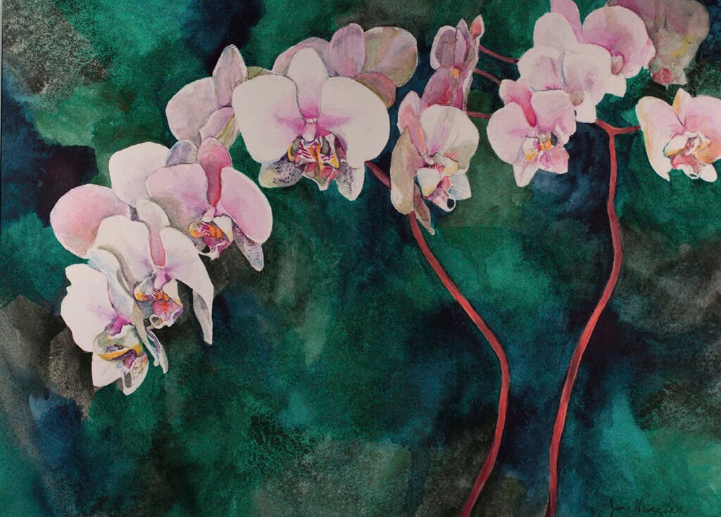 Flowers – Watercolors by Jane Huggins